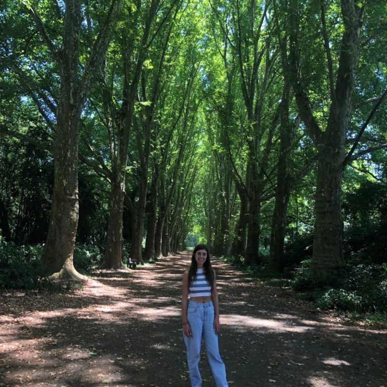 A Cathedral of Trees – MU International Office Blog